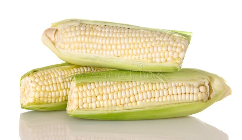 Fresh White Corn on the Cob Stock Photo - Image of summer, natural: 9480448 Fresh White Corn on the Cob Stock Photo - Image of summer, natural: 9480448
