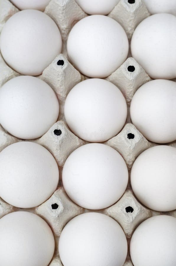 Fresh White Eggs in Box. Close Up. Stock Photo - Image of animal ...