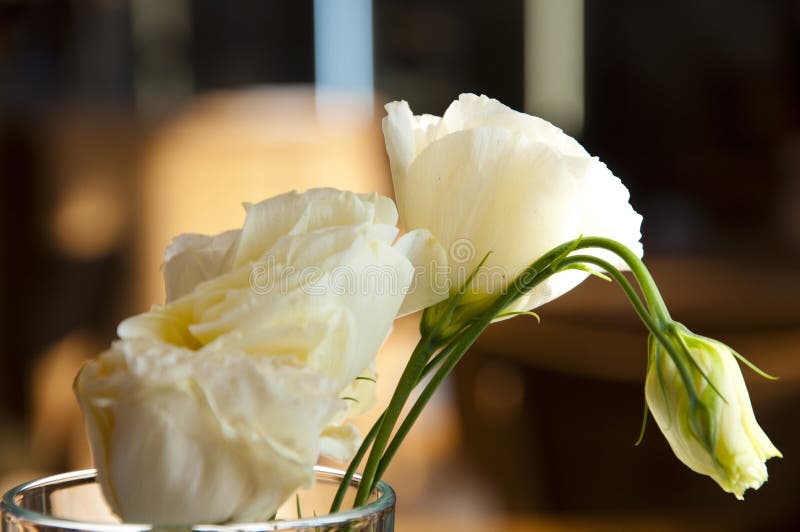 Fresh White Flower Bouquet in Vase Indoors Stock Photo - Image of ...