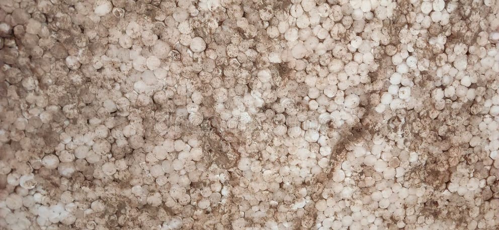 Fresh White Granules of Expanded Polystyrene with Soil Texture Stock ...