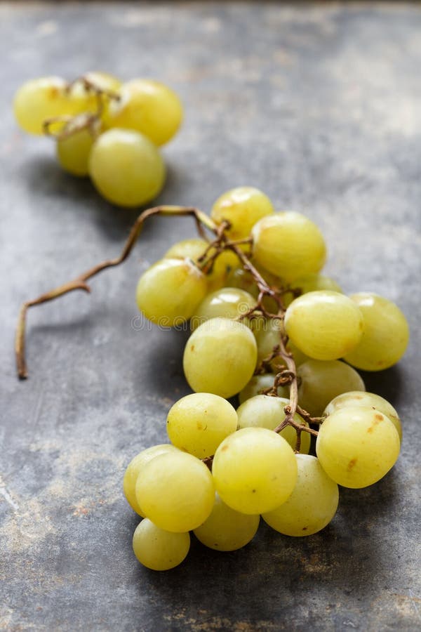Fresh white grape stock photo. Image of white, fresh - 27509434
