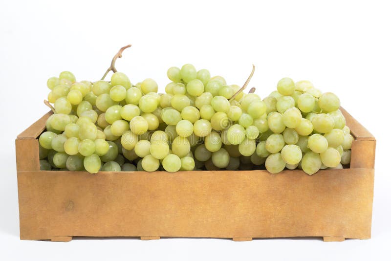 Fresh White Grapes in a Wooden Box on a White Background Stock Image ...