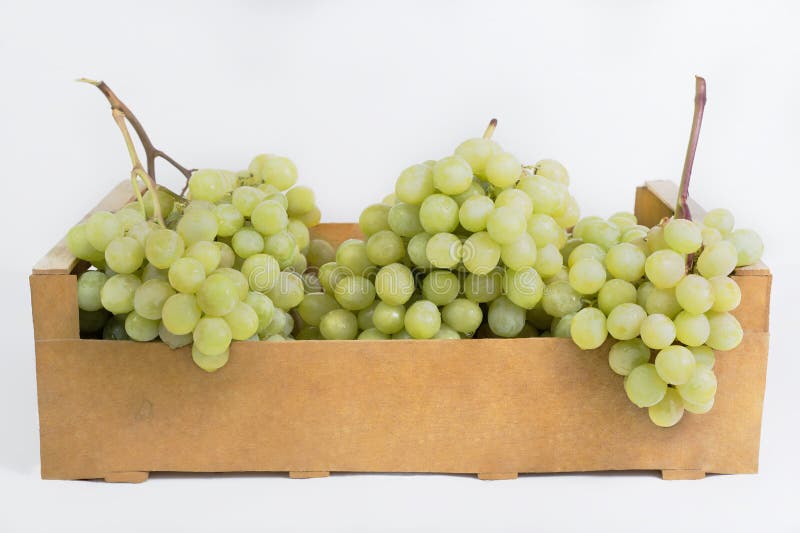 Fresh White Grapes in a Wooden Box on a White Background Stock Image ...