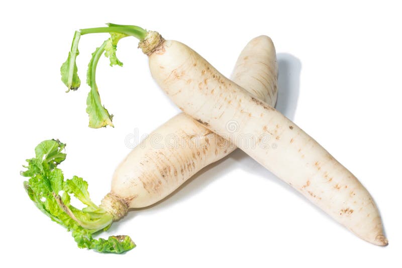 Fresh White Radish with Slices Stock Photo - Image of food, raphanus ...