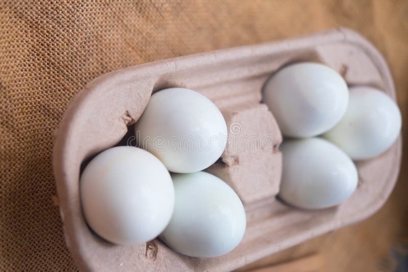 Fresh White Raw Eggs in Shell Eggs Ready for Cooking Stock Image ...