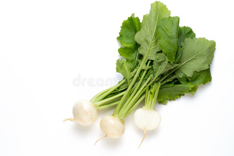Fresh White Round Turnip Radish on White Background. Stock Photo ...