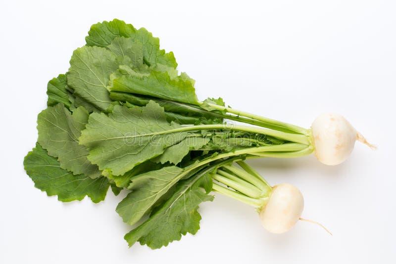 Fresh White Round Turnip Radish on White Background. Stock Image ...