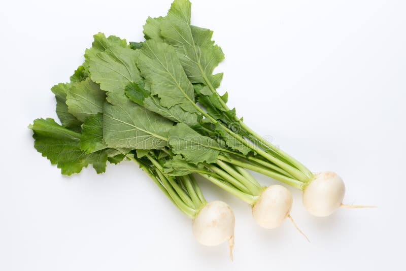Fresh White Round Turnip Radish on White Background. Stock Photo ...