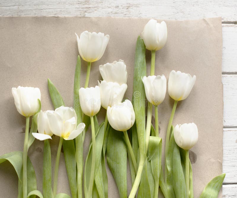 Fresh White Tulips Flowers Arrangement Decorative As Background Stock ...