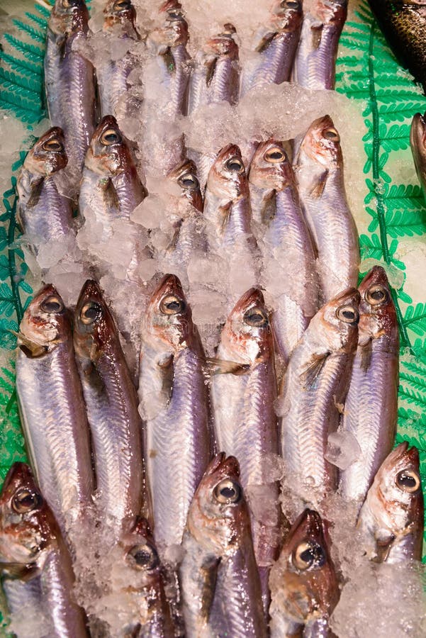 Fresh whiting stock photo. Image of market, healthy, marine - 94064944