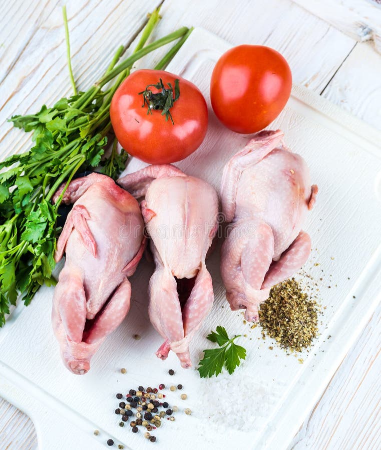 Fresh whole bird of quail stock photo. Image of bird - 50850090