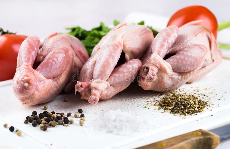 Fresh whole bird of quail stock photo. Image of celebration - 51431292