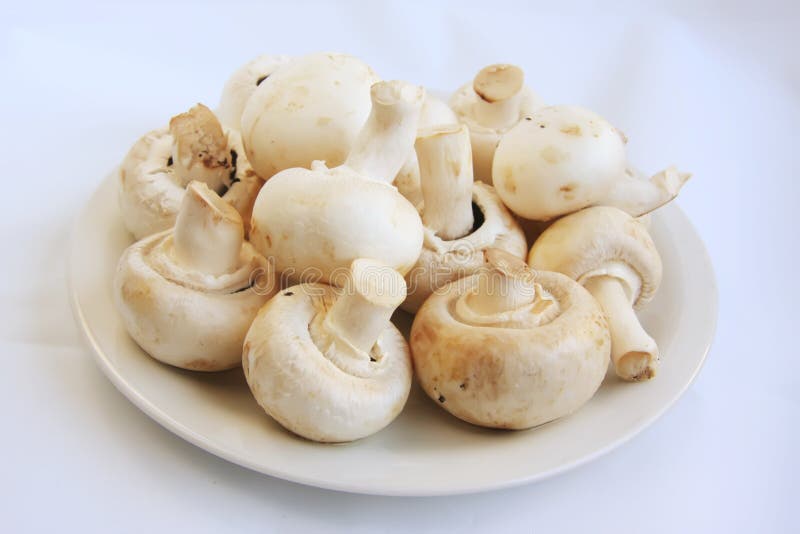 Fresh Whole Button Mushrooms Stock Image - Image of food, fungus: 5840065