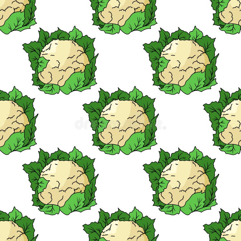 Fresh Whole Cauliflower Seamless Pattern Stock Vector - Illustration of ...