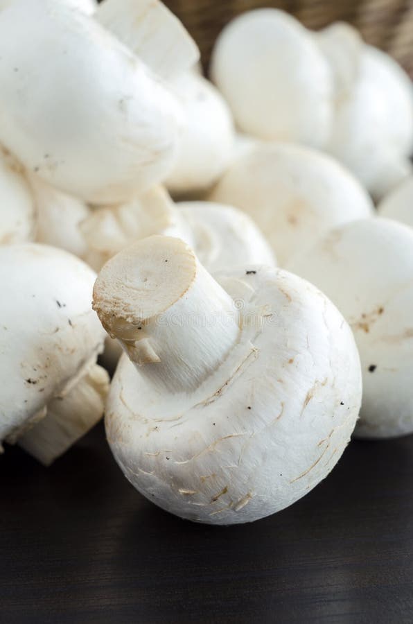 Fresh whole champignons stock photo. Image of mycology - 46242006