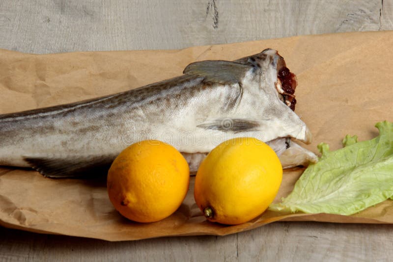 Fresh Whole Cod without a Head on a Sheet of Paper Stock Photo - Image ...