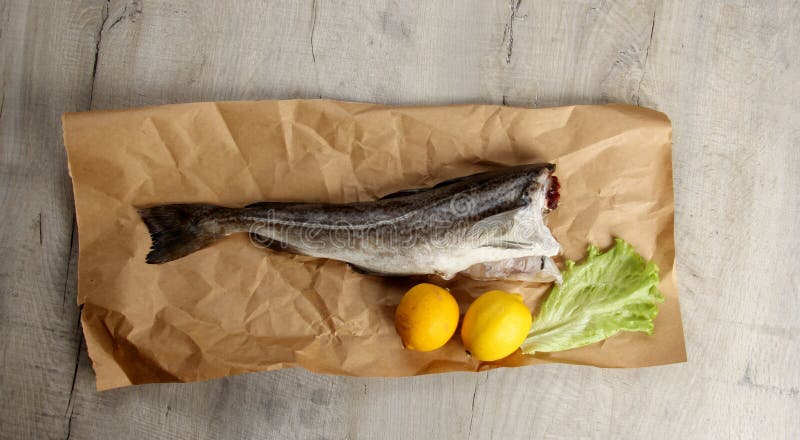 Fresh Whole Cod without a Head on a Sheet of Paper Stock Photo - Image ...