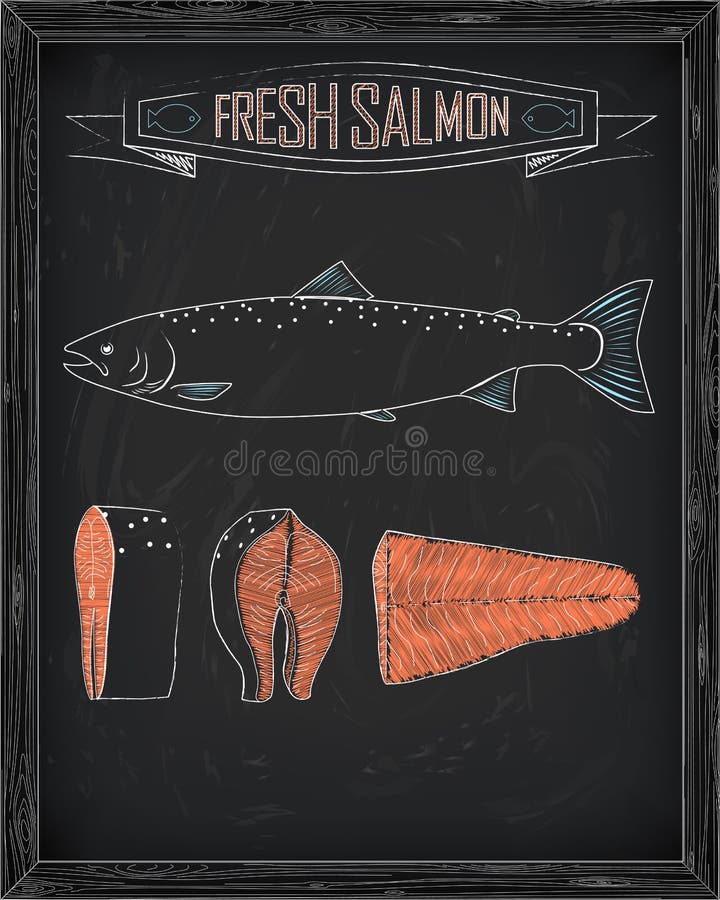 Fresh Whole One Young Salmon , Fillets and Steaks Stock Vector ...