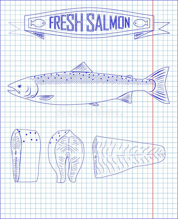 Fresh Whole One Young Salmon , Fillets and Steaks Stock Vector ...