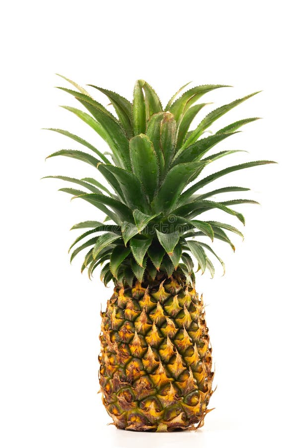 Whole pineapple stock image. Image of hawaii, organic, white - 737471