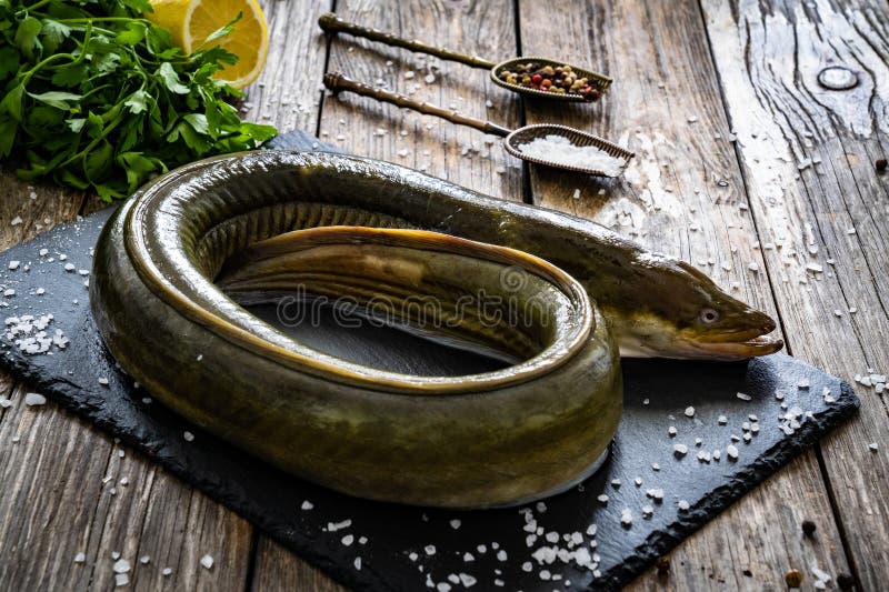 Fresh Whole Raw Eel with Salt and Fresh Vegetables on Black Stone Plate ...