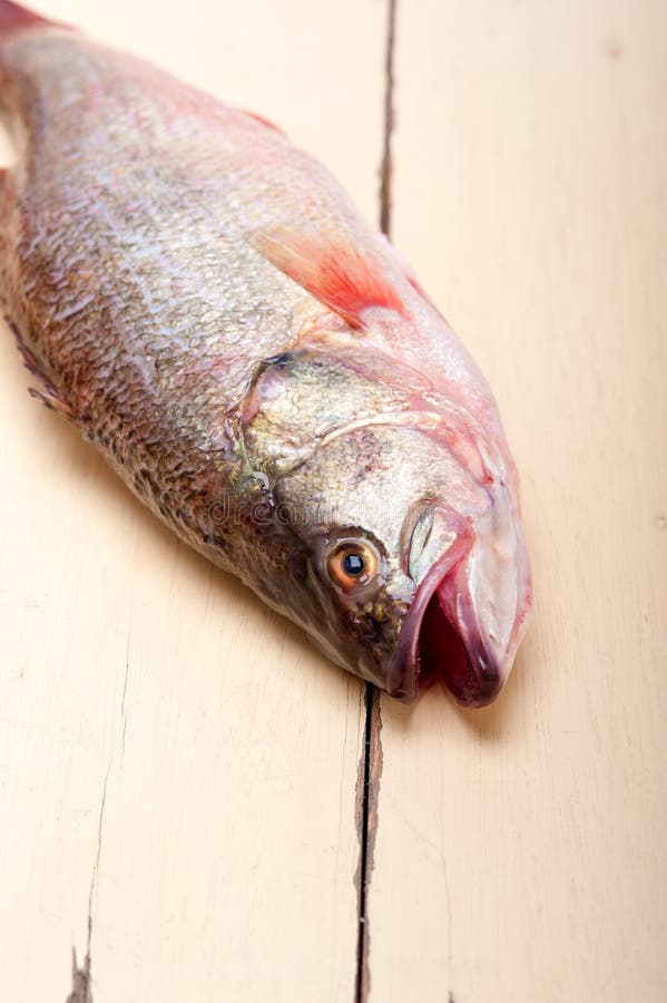 Fresh whole raw fish stock image. Image of seafood, uncooked - 46626655
