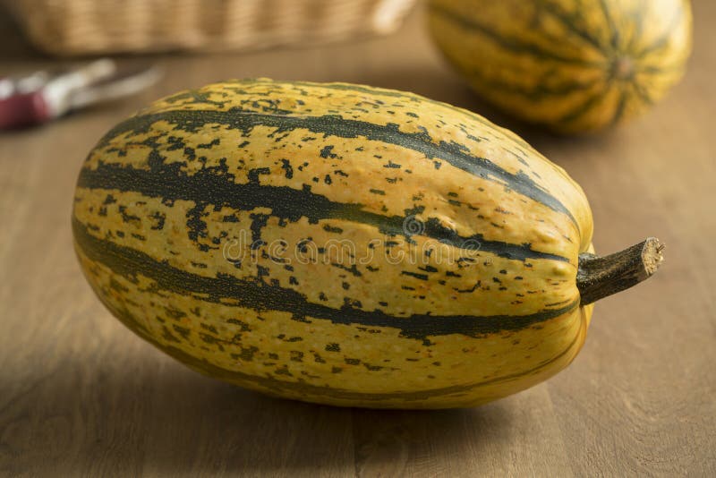 Fresh Whole Spaghetti Squash Stock Photo - Image of nutrition ...