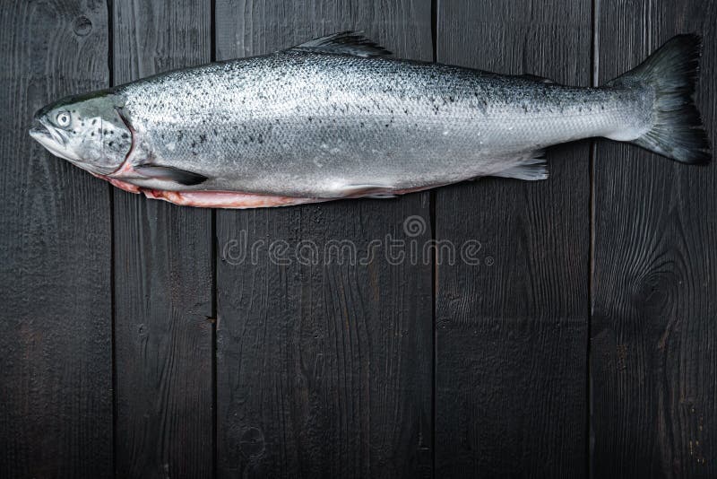 Fresh Whole Trout on Black Wooden Surface, Top View with Copy Space ...