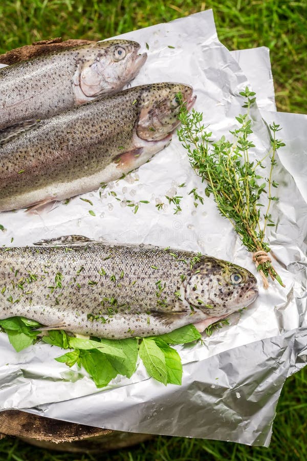 Fresh Whole Trout for Grill in the Garden Stock Image - Image of ...