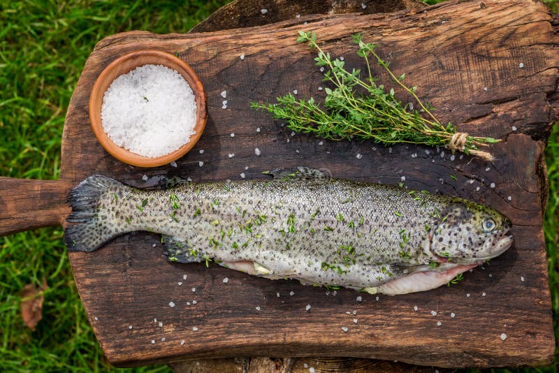 Fresh Whole Trout in the Summer Garden Stock Image - Image of gourmet ...