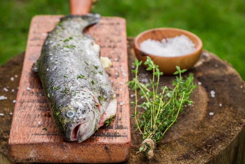 Fresh Whole Trout with Thyme and Salt for Grill Stock Image - Image of ...