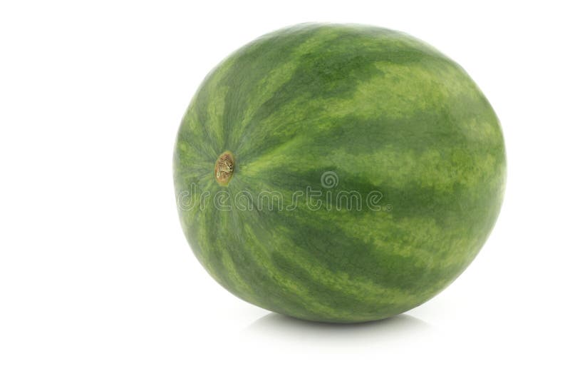 Fresh whole watermelon stock photo. Image of healthy - 40531762