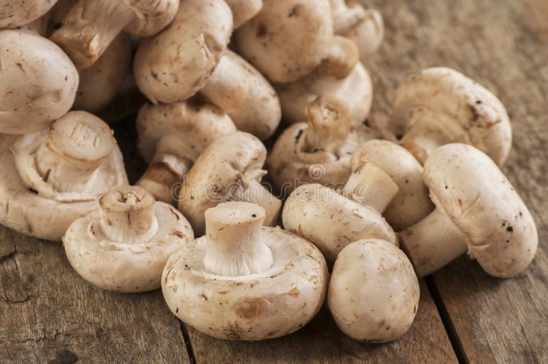 Fresh Whole White Button Mushrooms Stock Photo - Image of mushroom ...