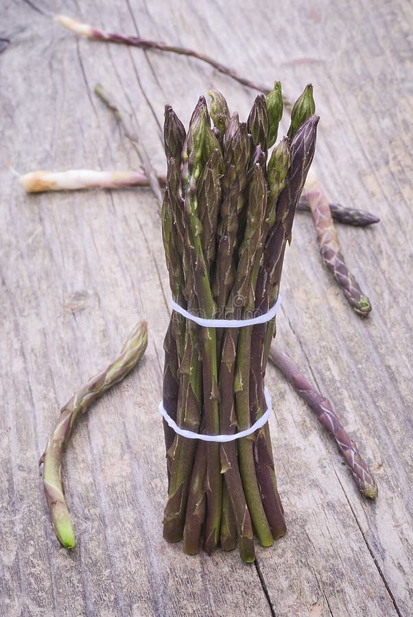 Fresh Wild Asparagus (Asparagus Acutifolius) Stock Image - Image of ... Fresh Wild Asparagus (Asparagus Acutifolius) Stock Image - Image of ...