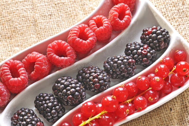 Fresh wild berries stock photo. Image of colorful, berry - 24185612