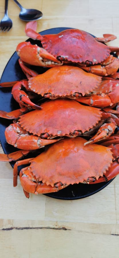 Fresh wild caught crab stock image. Image of fresh, caught - 311964865