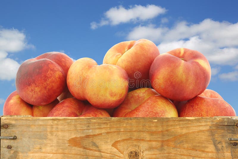 Fresh Wild (flat) Nectarines in a Wooden Crate Stock Image - Image of ...
