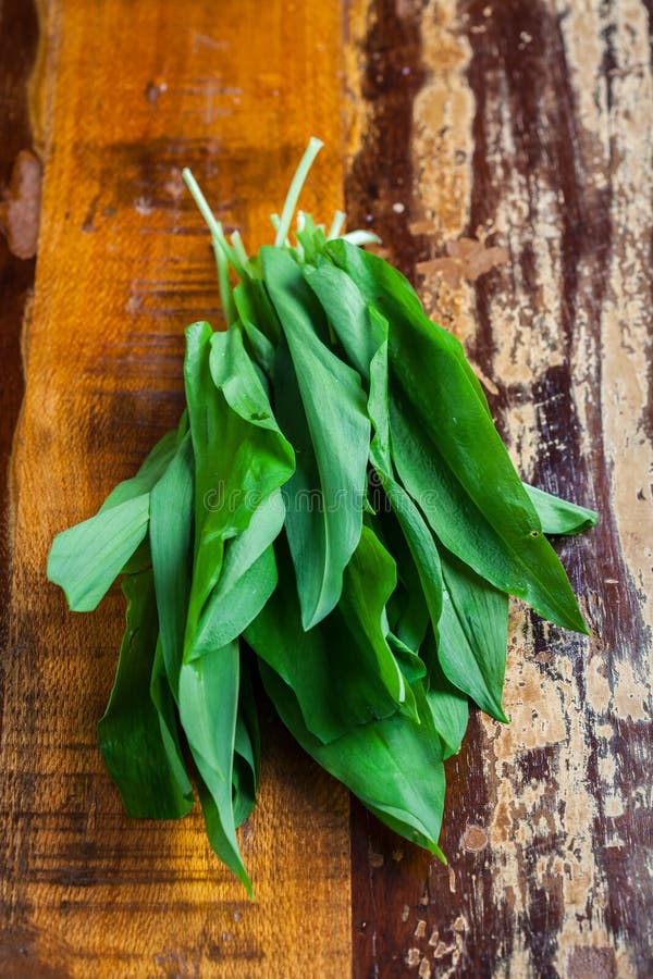Fresh wild garlic leaves stock photo. Image of tomato - 30672454