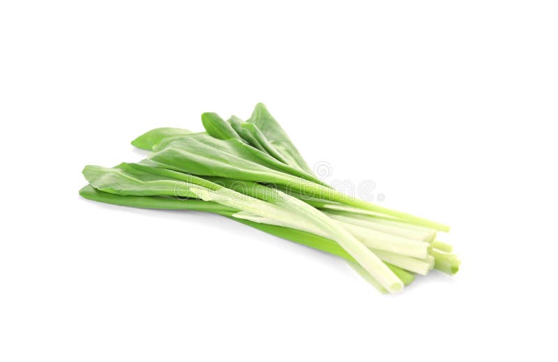 Fresh Wild Garlic or Ramson Isolated Stock Image - Image of organic ...