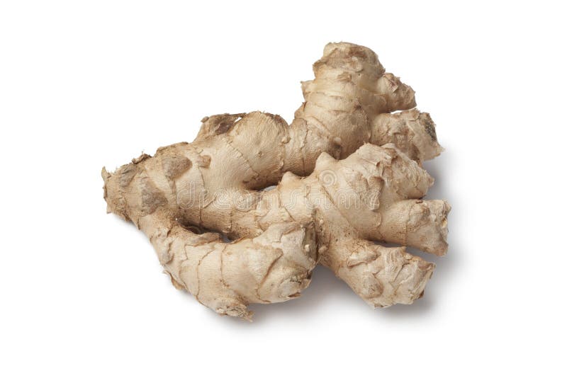 Fresh wild ginger root stock photo. Image of seasoning - 29301634 Fresh wild ginger root stock photo. Image of seasoning - 29301634