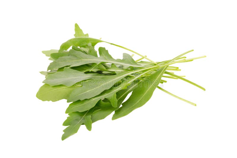 Fresh Wild Rocket Rucola Leaves on White Background Stock Image - Image ...