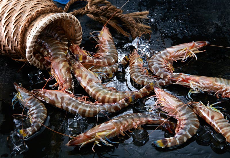 Fresh Wild Seafood Ingredients, Shrimp Stock Photo - Image of assorted ...