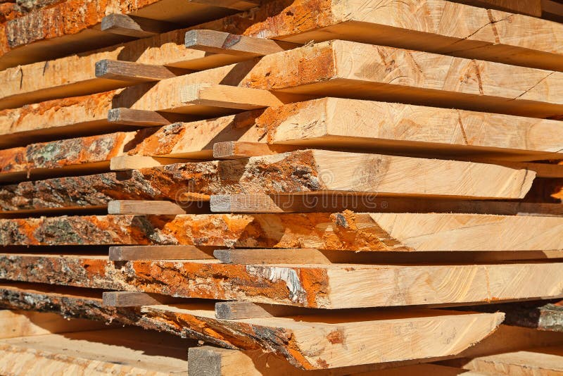 Fresh wooden studs stock photo. Image of material, color - 21504856