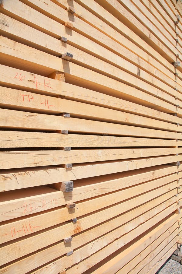 Fresh wooden studs stock photo. Image of build, grunge - 26525402