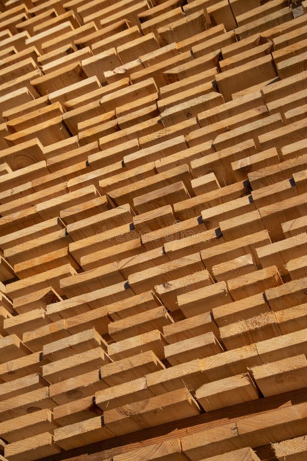 Fresh wooden studs stock photo. Image of architecture - 195495698