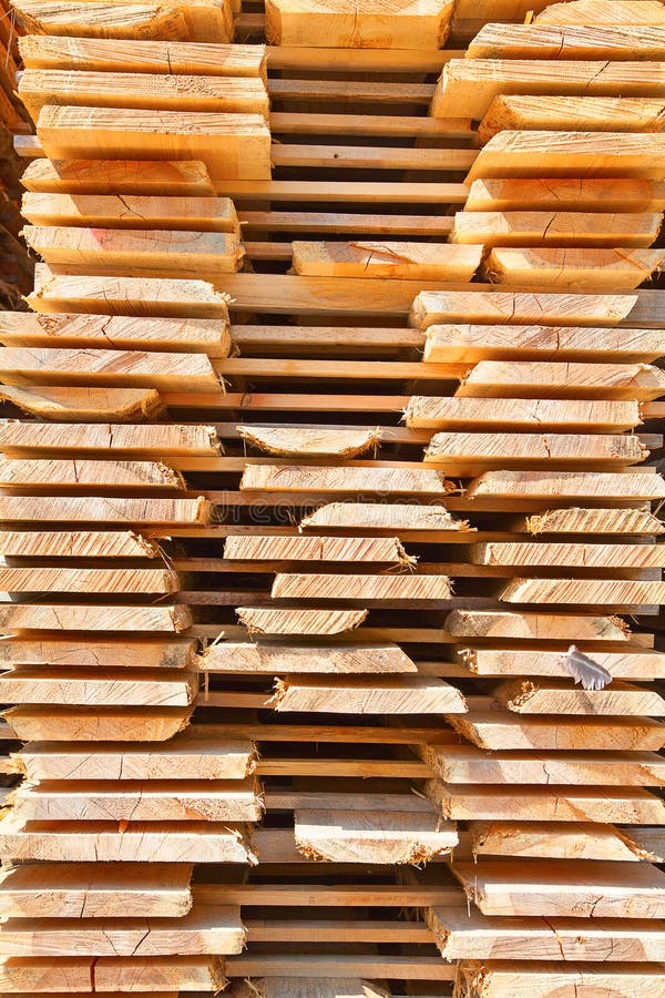 Fresh wooden studs stock photo. Image of fiber, estate - 33168434