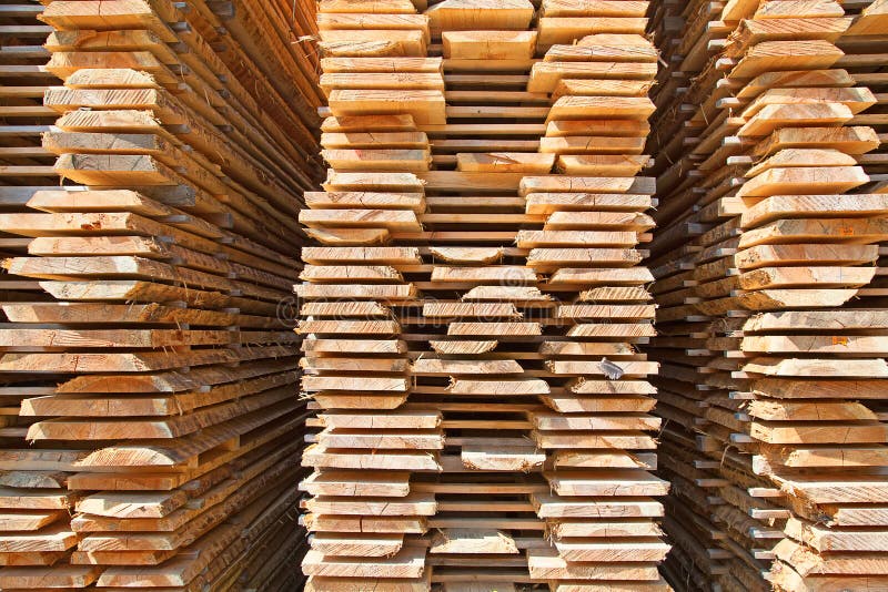 Fresh wooden studs stock image. Image of material, carpenter - 33168443