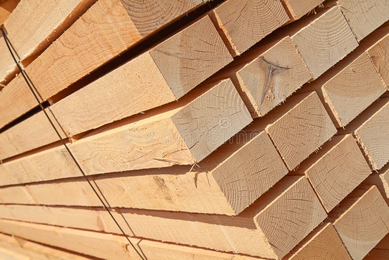 Fresh wooden studs stock image. Image of construction - 36016663