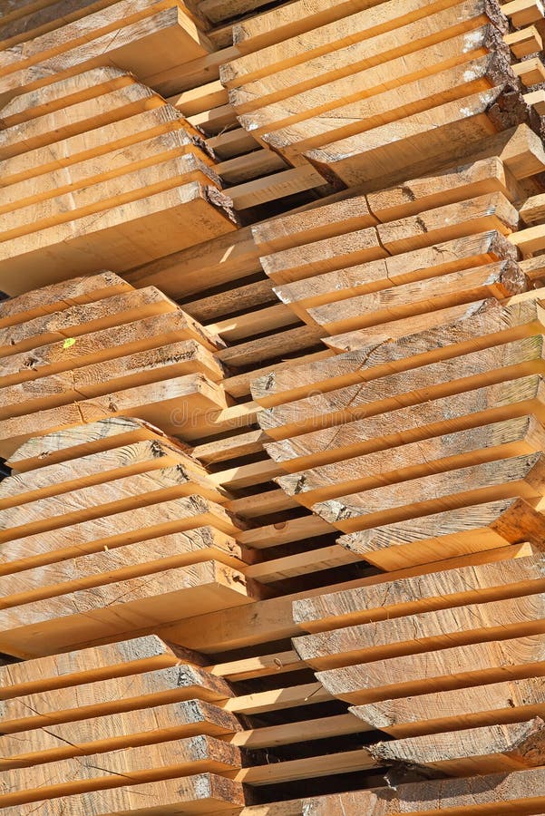Fresh wooden studs stock photo. Image of fence, build - 43136290