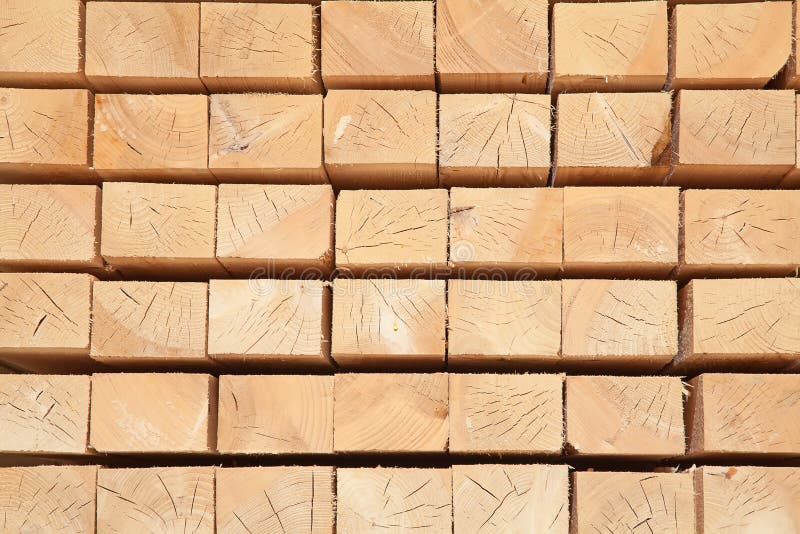 Fresh wooden studs stock photo. Image of board, detail - 51444866